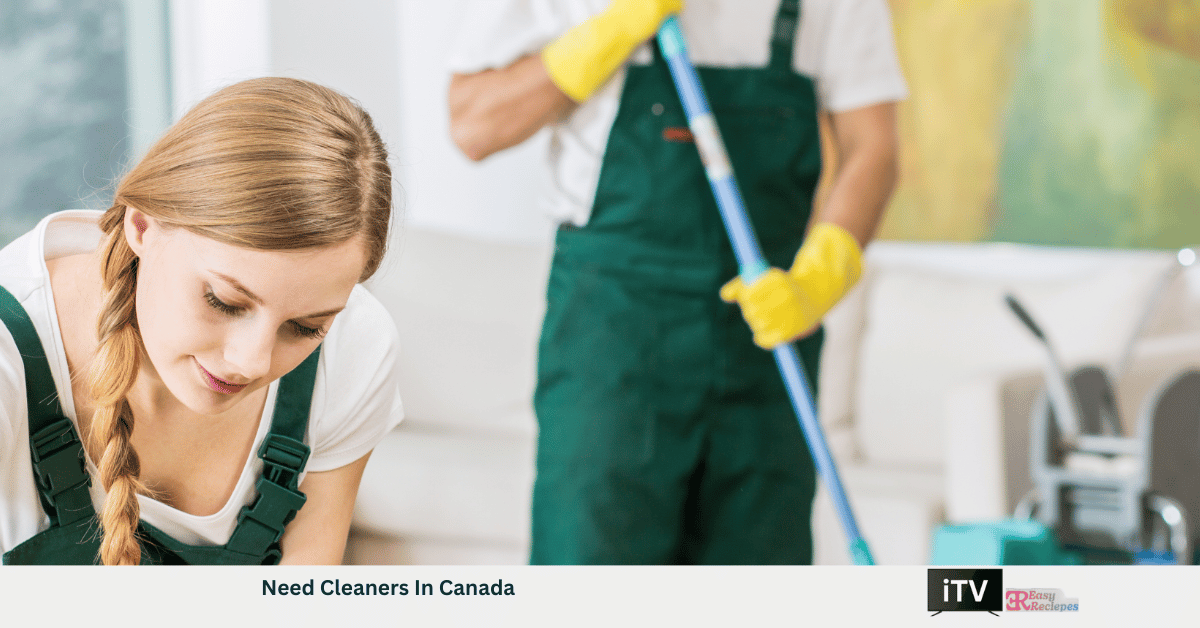 Need Cleaners In Canada - itv.easyreciepes.com